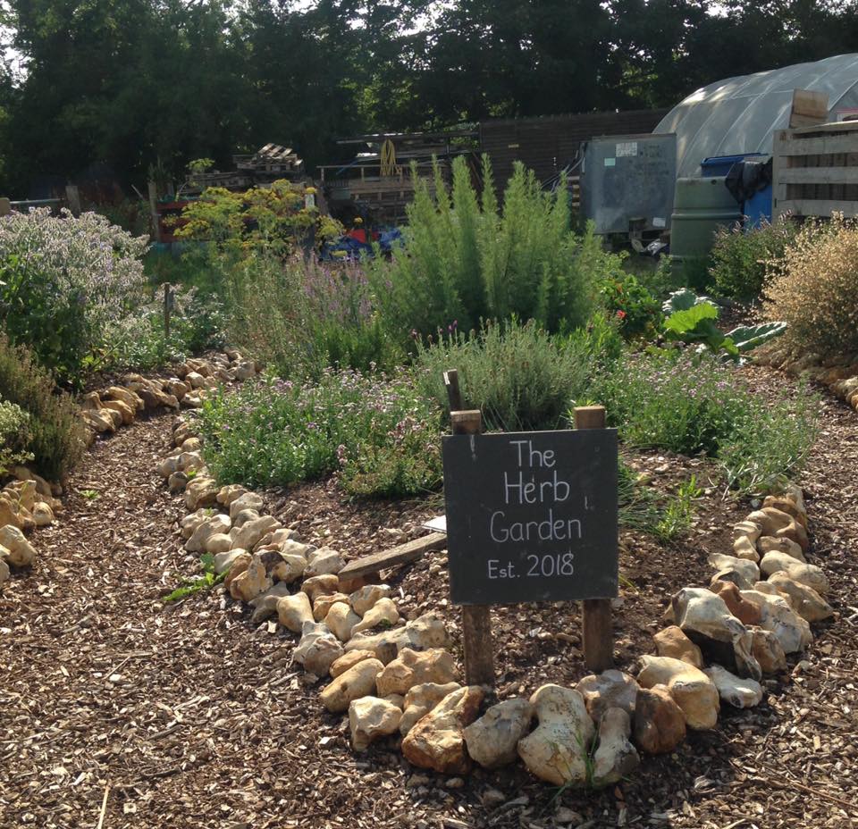 Herbs – Highbridge Community Farm