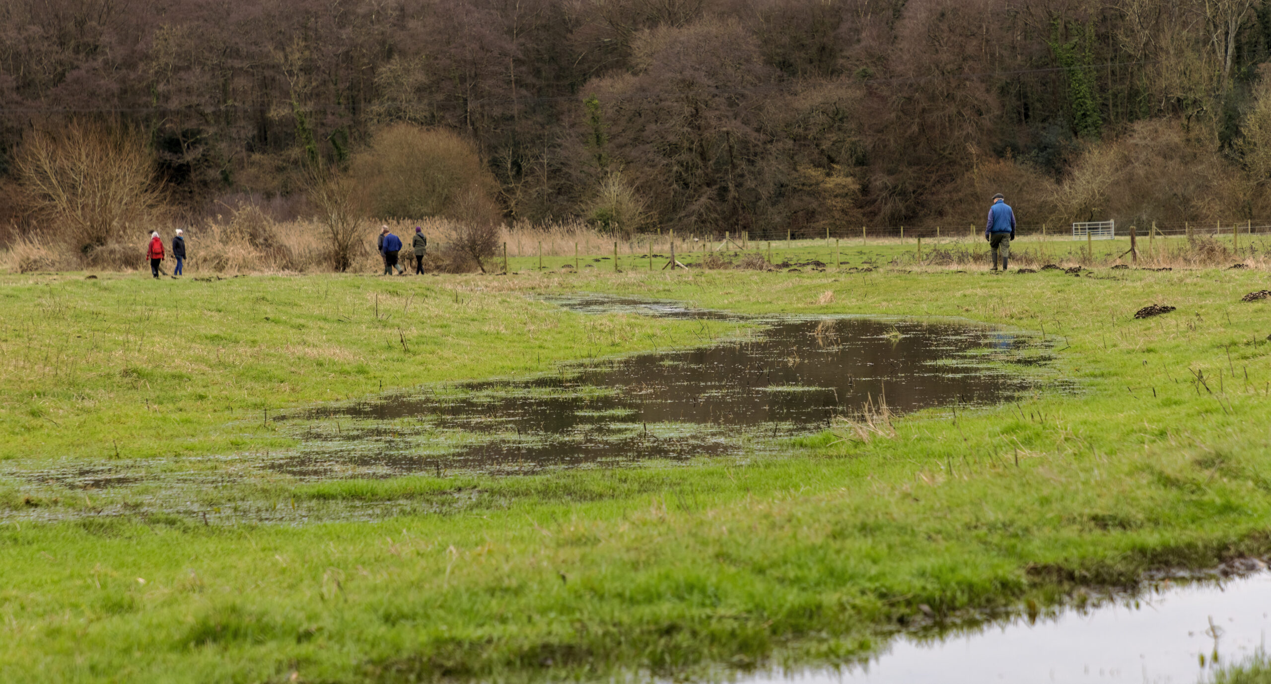 Drowning The Highbridge Water Meadows Highbridge Community Farm Drowning The Highbridge Water Meadows Highbridge Community Farm